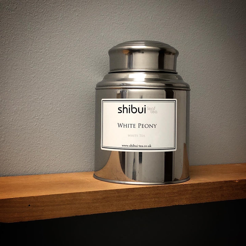 White Peony - White Tea - Whole Leaf Pyramid Bags - Shibui Tea